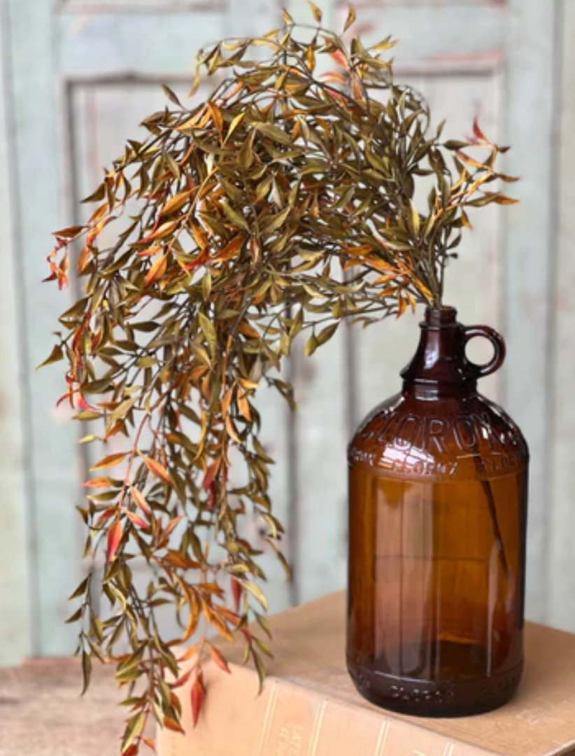 Smilax Hanging Stem | My Site